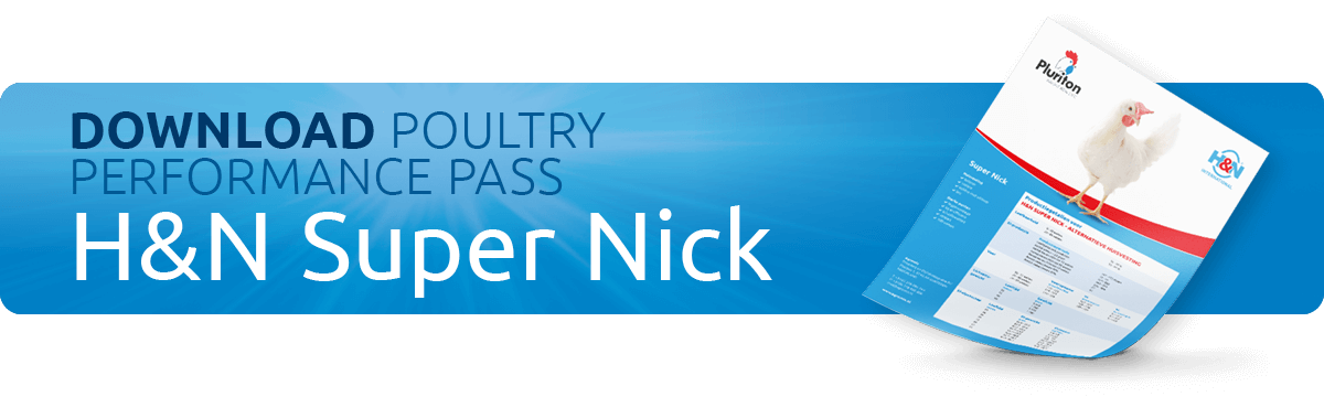 H&N Super Nick - Pluriton